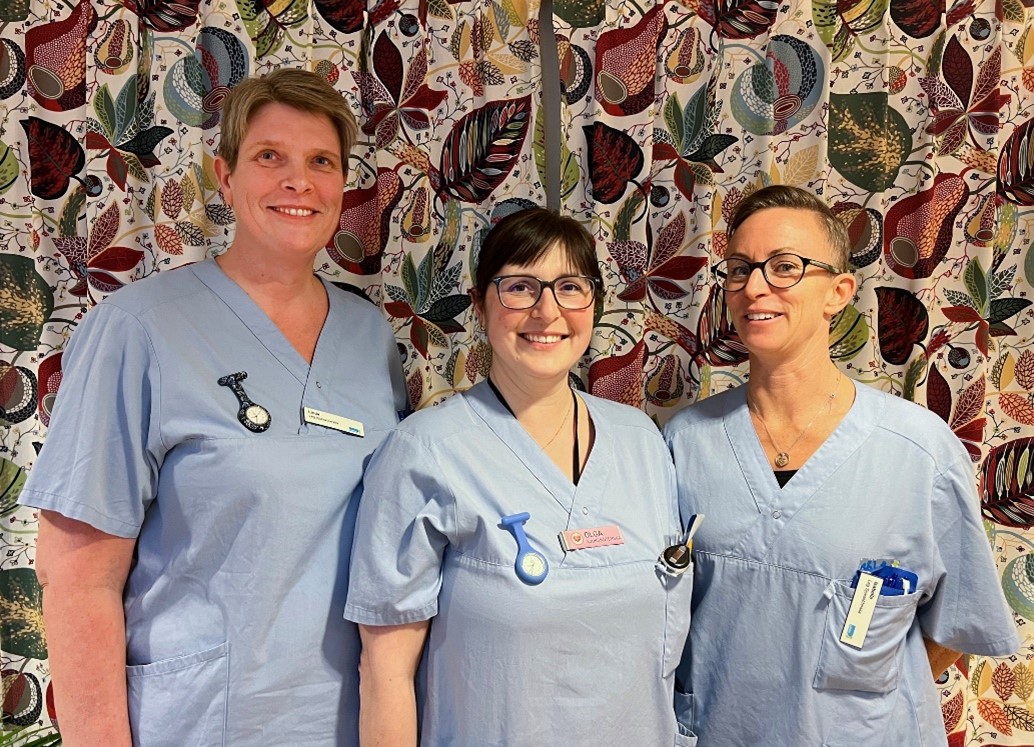 Karriärsida - Laholms kommun